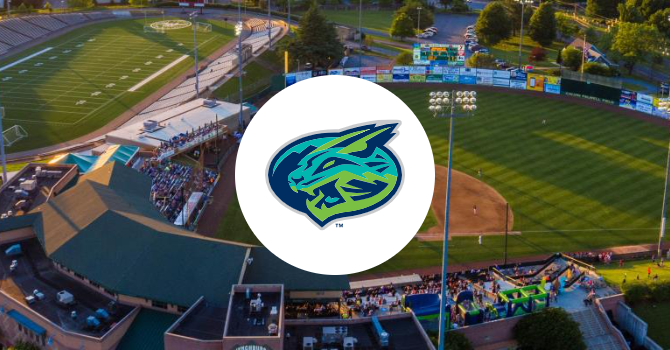 Lynchburg Hillcats Youth Baseball Camp