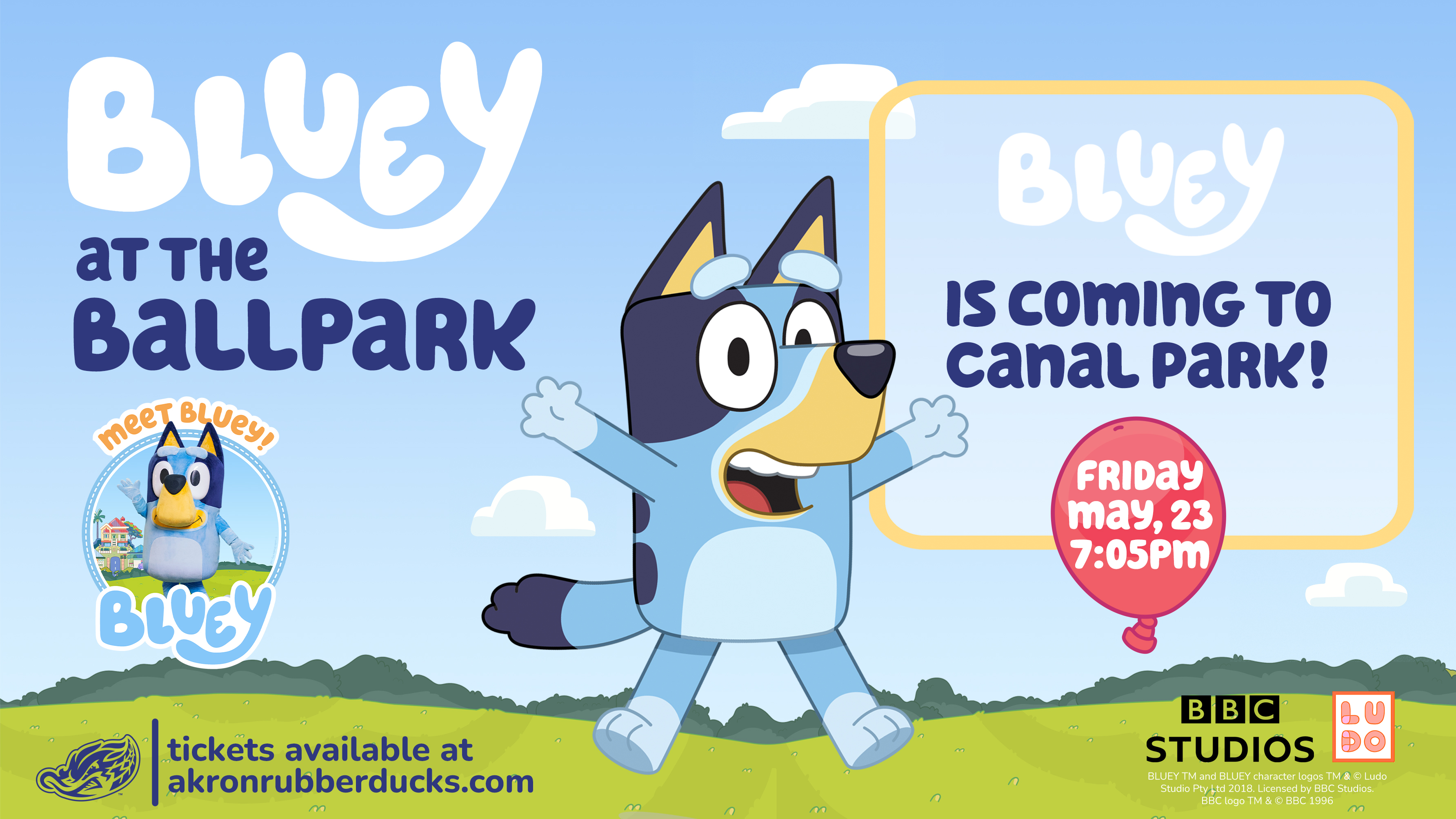 Bluey VIP at Canal Park