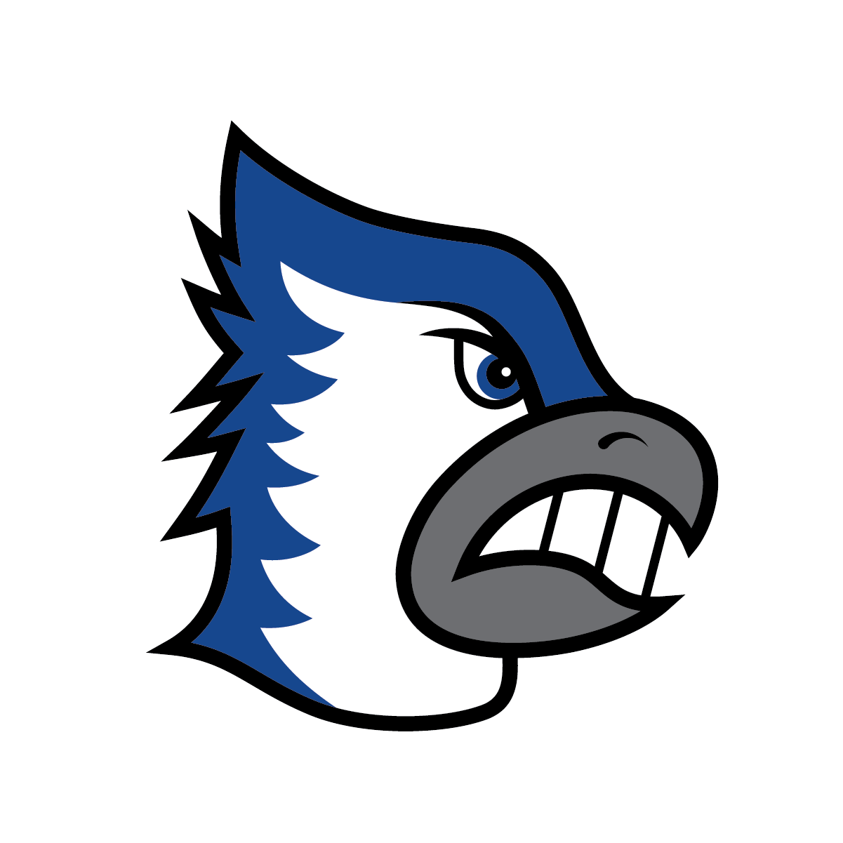 Iowa Wolves High School Hoops Series- Bondurant vs Spencer