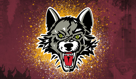 Delta Aquatics Family Night with the Chicago Wolves