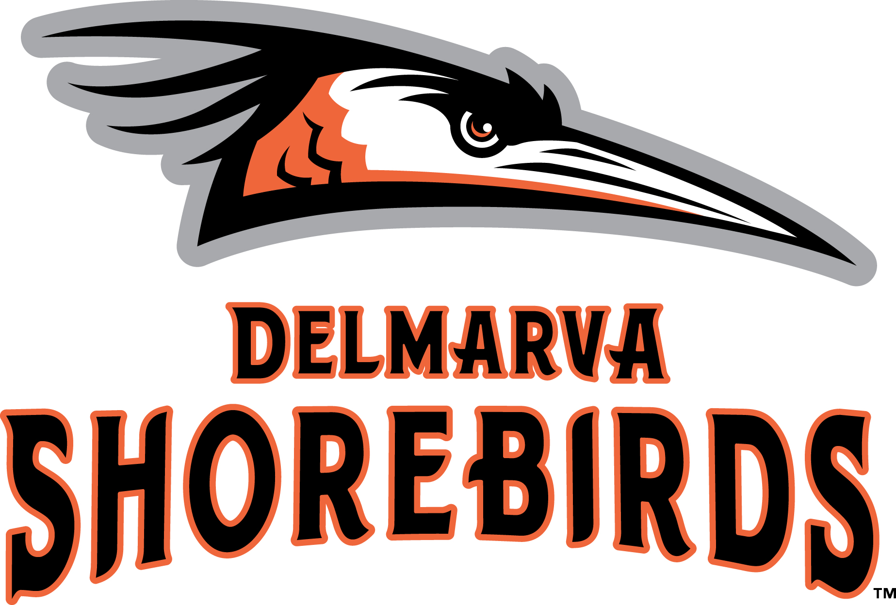 Delmarva Shorebirds X Princess Tea Party